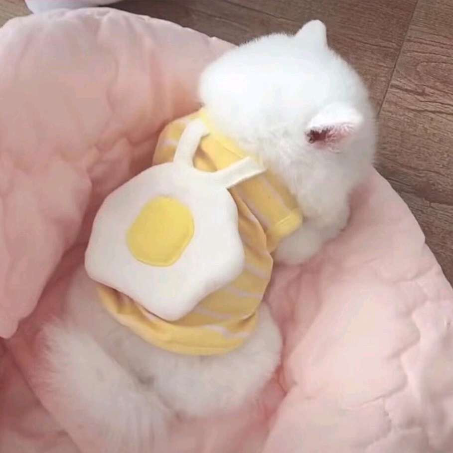 yYY-yYY相关直播-抖音